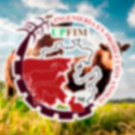 Universidad Politécnica de Francisco I. Madero – UPFIM