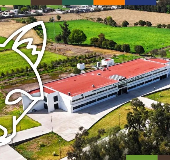 Universidad Politécnica de Francisco I. Madero – UPFIM